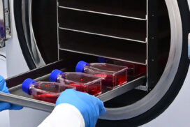 Freeze Drying 101 - How It Works, How to Freeze Dry, its Benefits